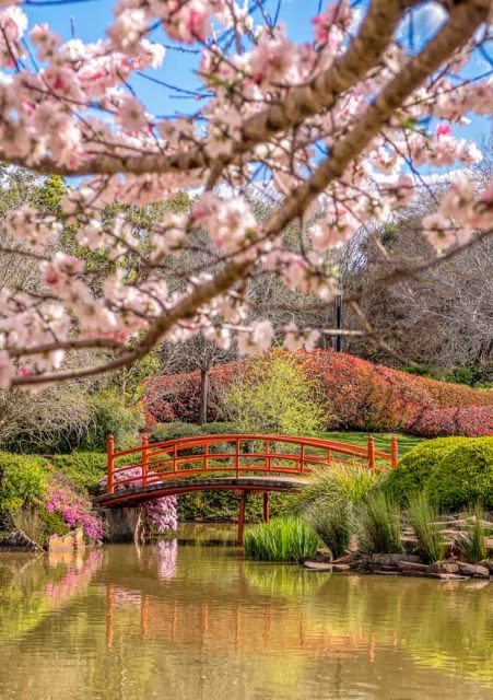 15 top things to do in Toowoomba