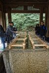 How to visit a Shinto Shrine in Japan
