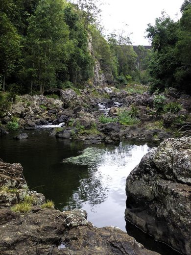 A walk in Obi Obi Gorge at Maleny