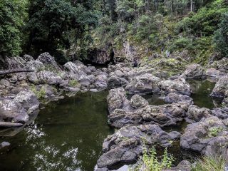 A walk in Obi Obi Gorge at Maleny