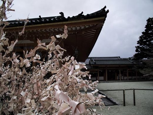 How to visit a Shinto Shrine in Japan