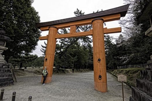 How to visit a Shinto Shrine in Japan