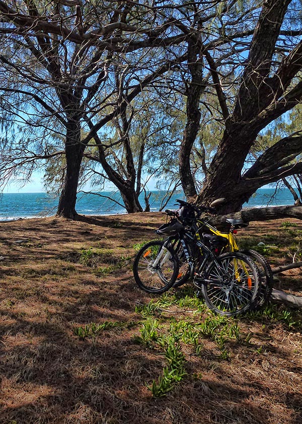 City Cycle around the Brisbane river