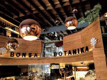 Brisbane Cafes - Bonsai Botanika