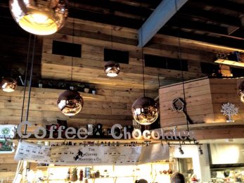Brisbane Cafes - Bonsai Botanika