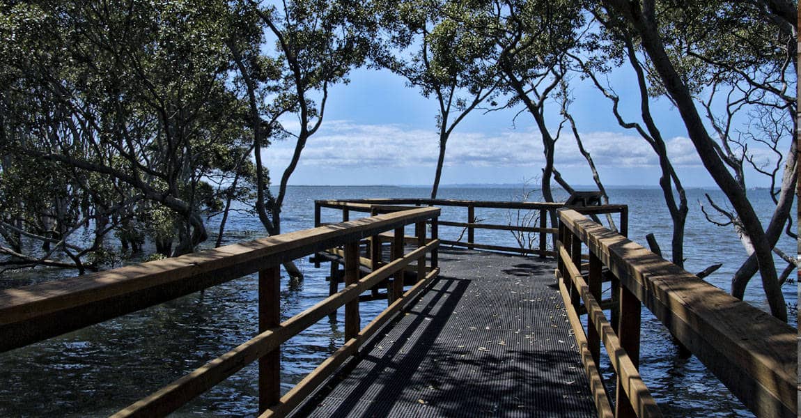 Wynnum Mangrove Boardwalk