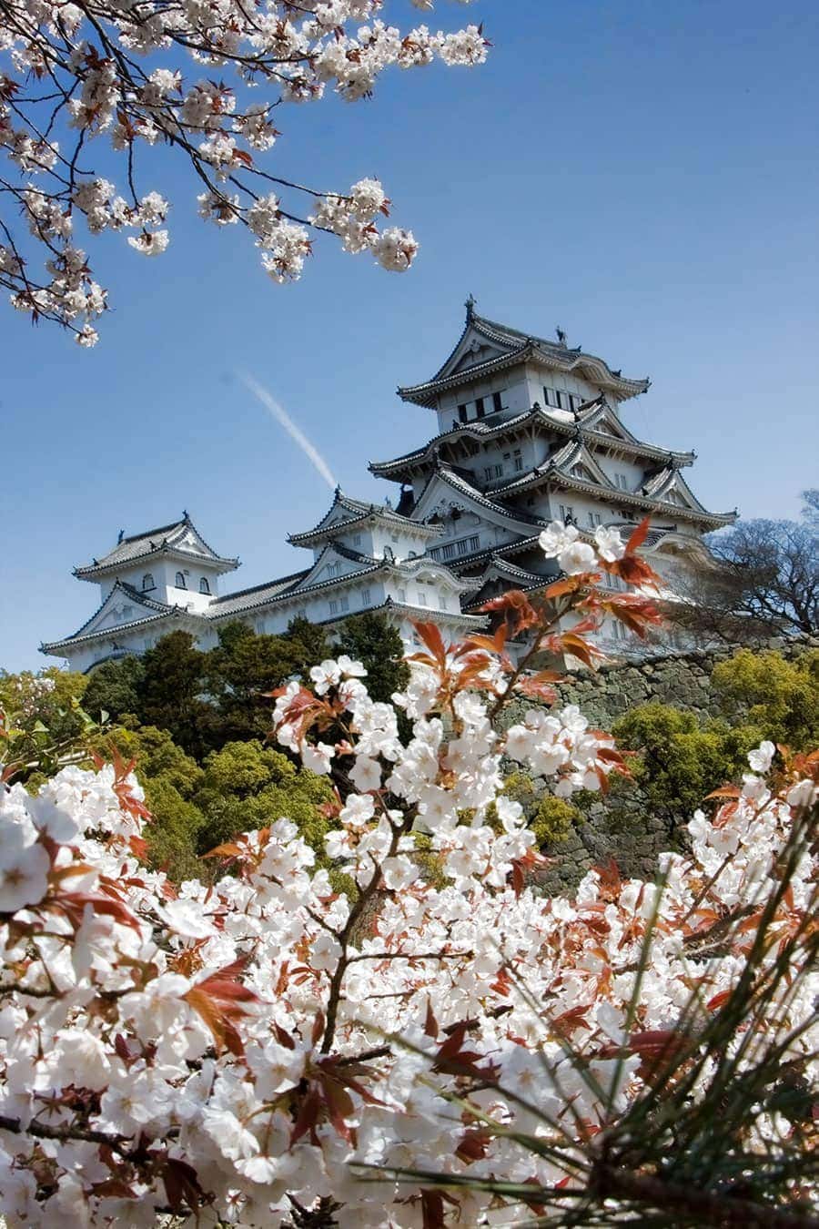 Himeji Castle - Your ultimate visitors guide