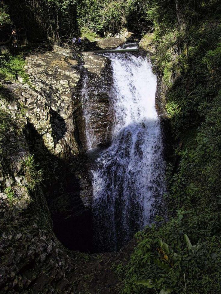The Natural Bridge, Springbrook NP