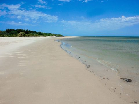 Top things to do on Bribie Island