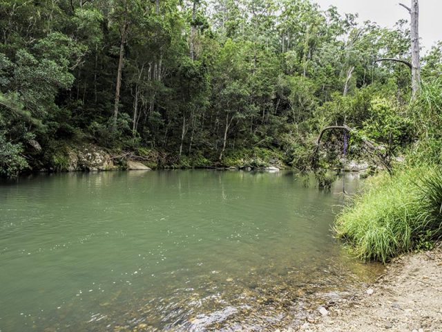 Stunning Springbrook waterfalls and picnic spots