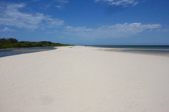 Top things to do on Bribie Island