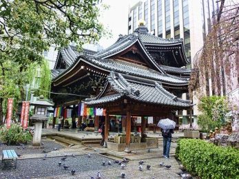 Kyoto Walking Tour - Central Kyoto