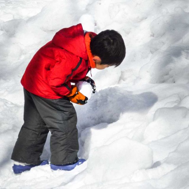 The wonders of Kairo - Japanese heat packs