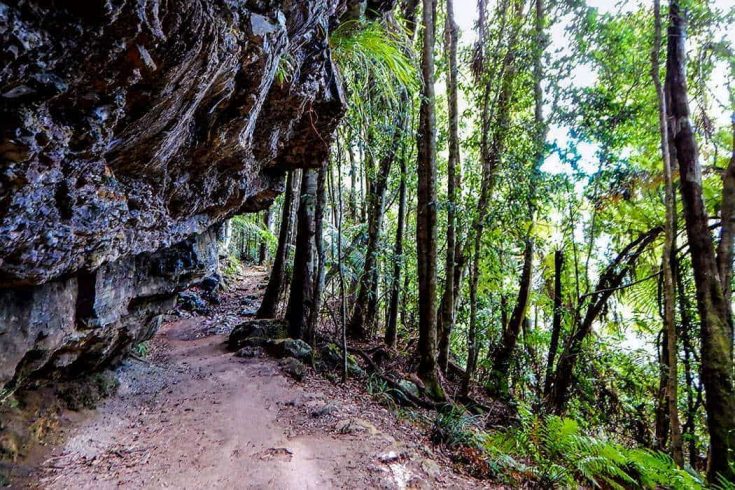The Australian Walking Track Grading System