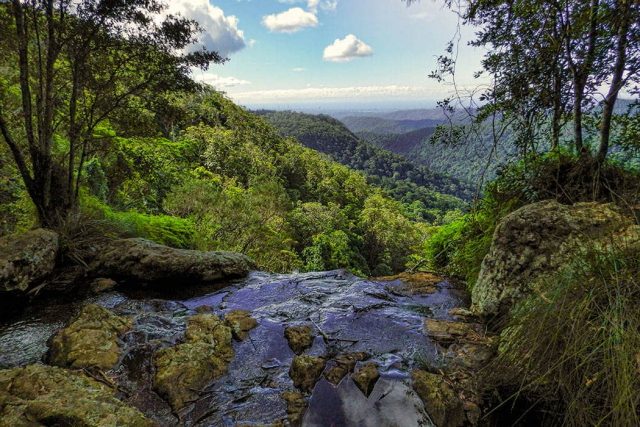 Twin Falls Circuit, Springbrook National Park
