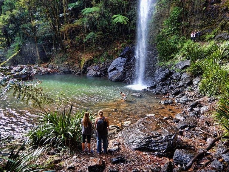 Stunning Springbrook waterfalls and picnic spots