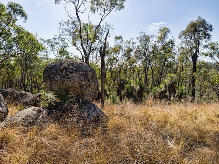 Detour and explore at Coomba Falls