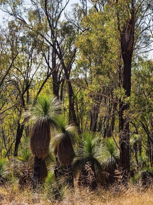 Detour and explore at Coomba Falls