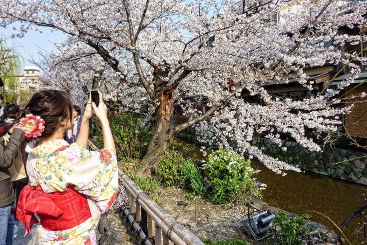 Discover the 5 geisha districts of Kyoto