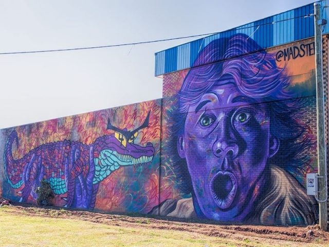 16 Amazing Street Art Murals in Toowoomba