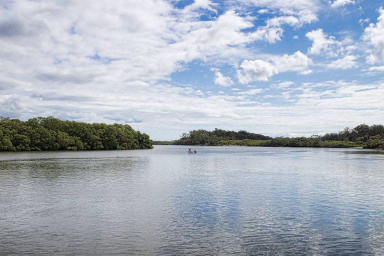 A walk through Tinchi Tamba Wetlands
