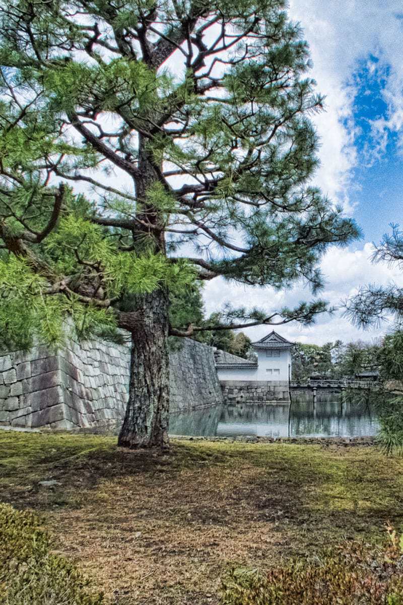 Visiting Nijo Castle in Kyoto