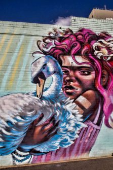 The annual Toowoomba street art festival