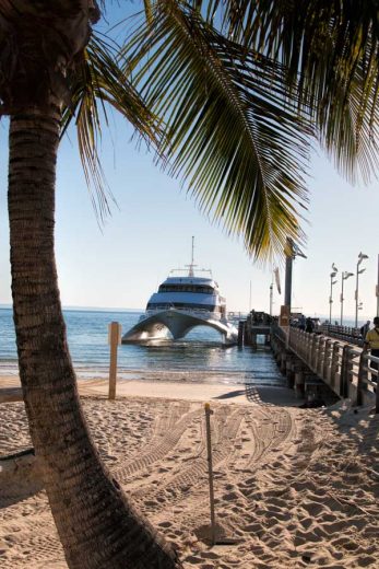 Tangalooma whale watching - dugongs, dolphins and more