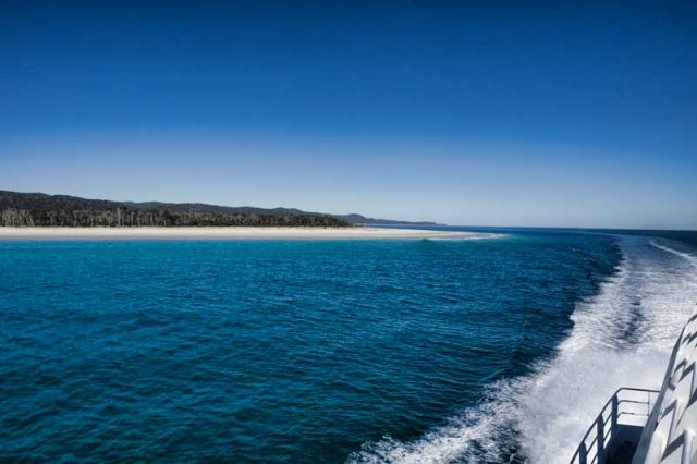 Tangalooma whale watching - dugongs, dolphins and more