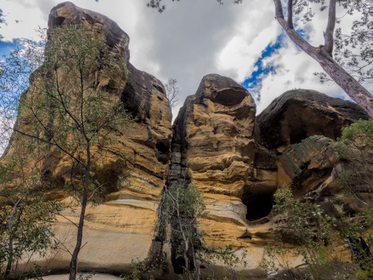 Nature and History at White Rock Conservation Park