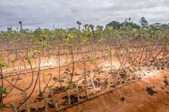 Meeting the farmers with Bundy Food Tours
