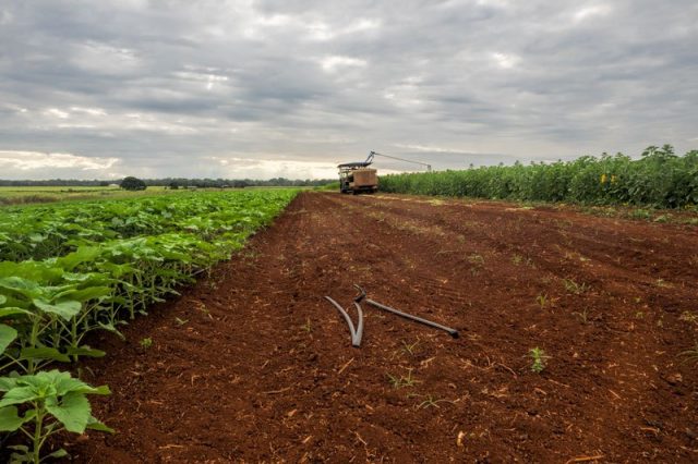 Meeting the farmers with Bundy Food Tours