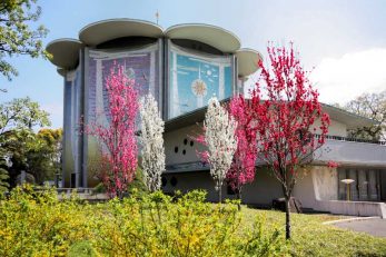 A Visitors Guide to the Tokyo Imperial Palace