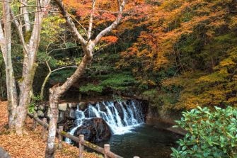 An autumn leaves visit to Minoo Park and Falls in Osaka