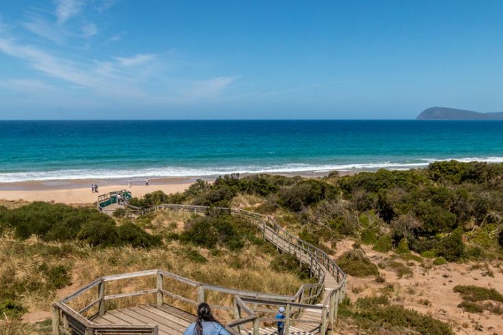 A Bruny Island day trip for the travelling foodie