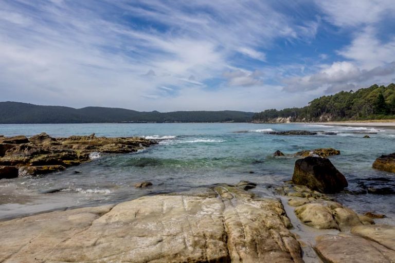 A Bruny Island day trip for the travelling foodie