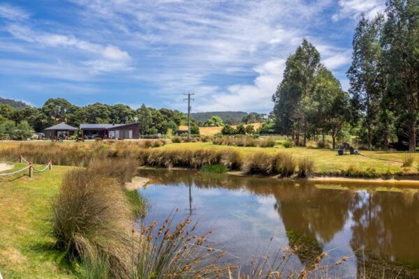A Bruny Island day trip for the travelling foodie