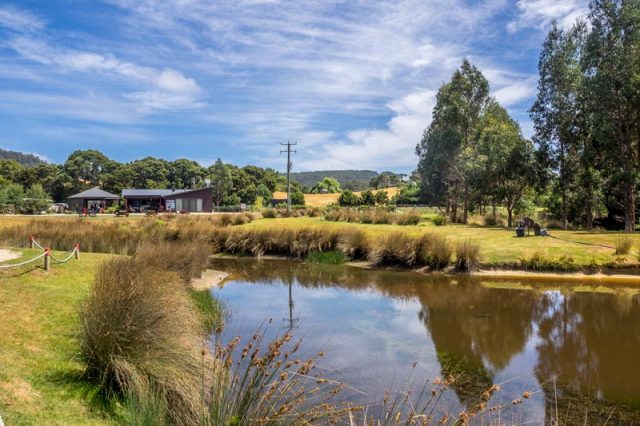A Bruny Island day trip for the travelling foodie