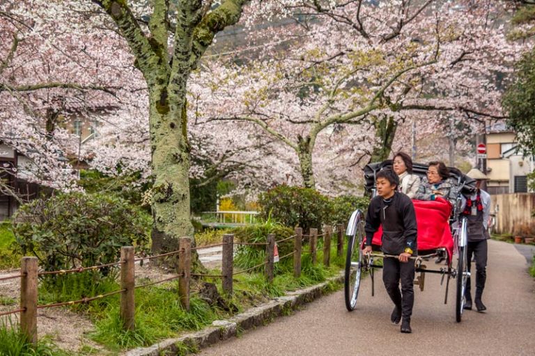 Walking Kyoto: A guide to exploring eastern Kyoto