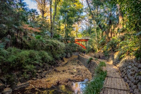 12 of the best day trips from Tokyo