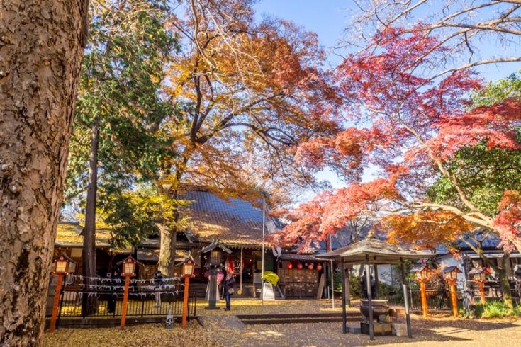 Todoroki Gorge, a stunning afternoon in nature