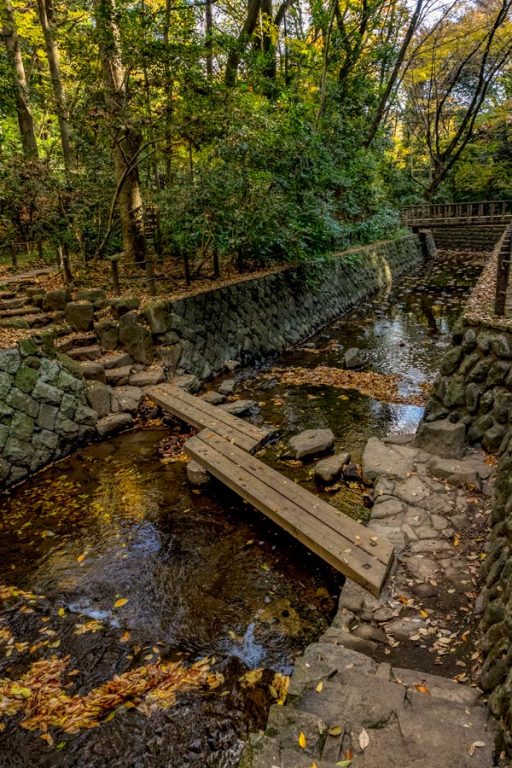 Todoroki Gorge, a stunning afternoon in nature
