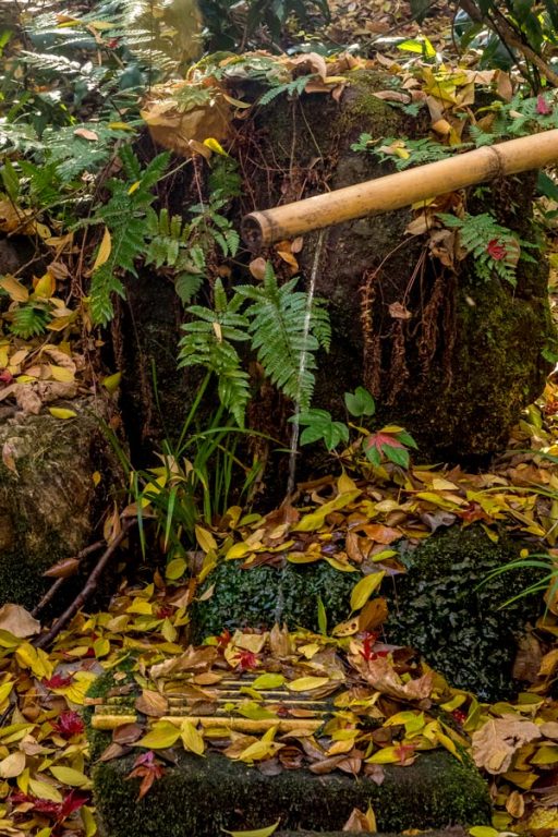 Todoroki Gorge, a stunning afternoon in nature