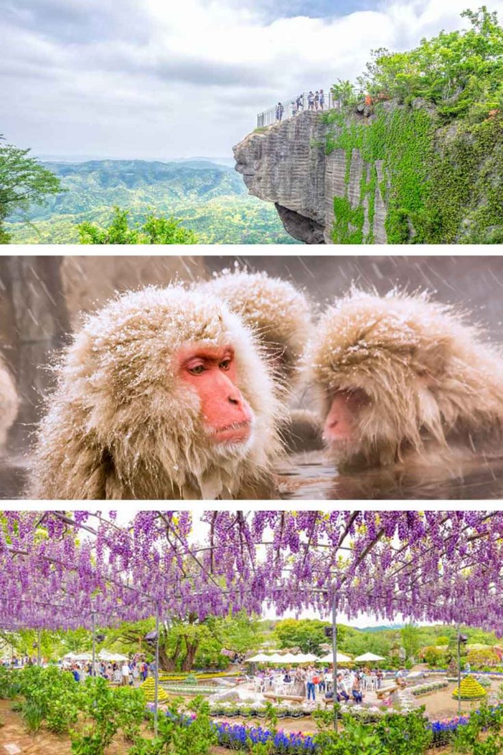 Your Complete Tokyo Travel Guide | 2 Aussie Travellers