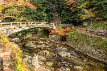 An autumn leaves visit to Minoo Park and Falls in Osaka