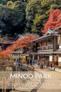 An autumn leaves visit to Minoo Park and Falls in Osaka
