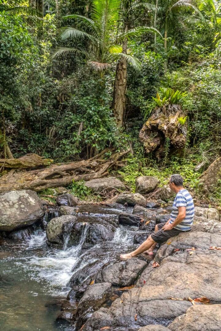 Stunning Springbrook waterfalls and picnic spots