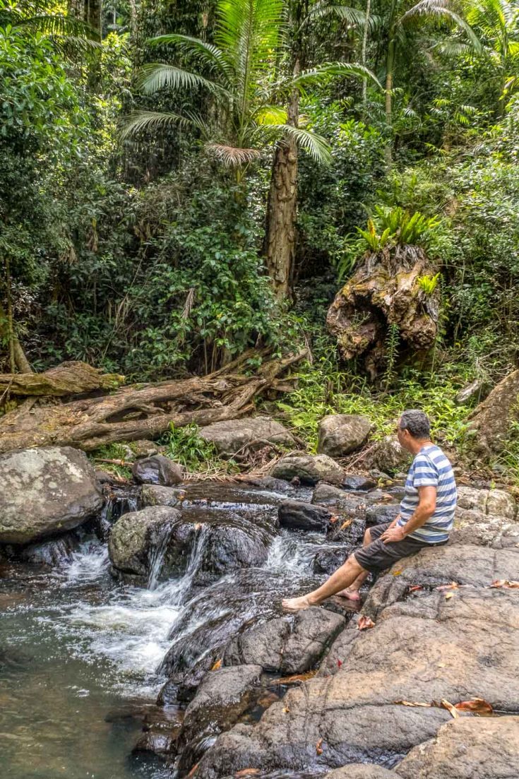 Stunning Springbrook waterfalls and picnic spots