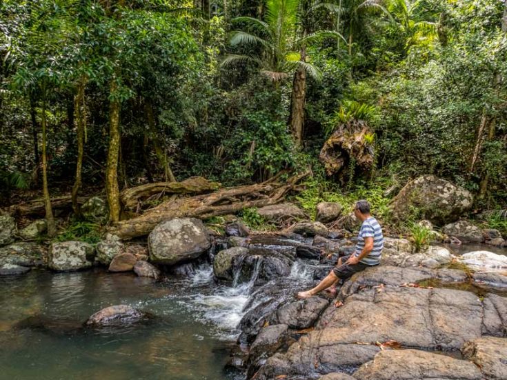 Purling Brook Falls - Springbrook National Park