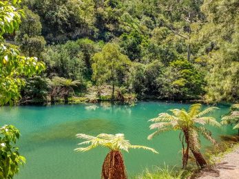 Experience the Jenolan Caves tours and Walks